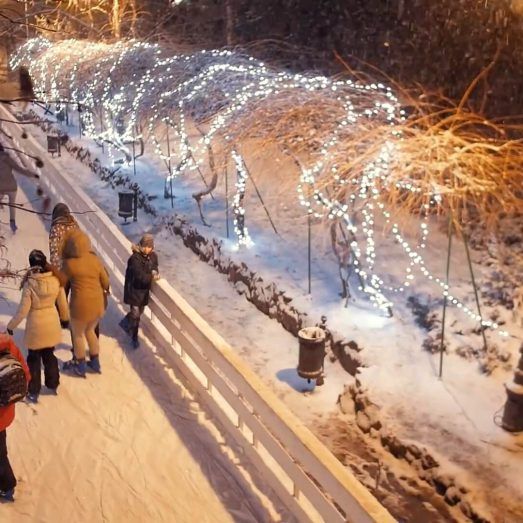 TONS - Turistička organizacija grada Novog Sada