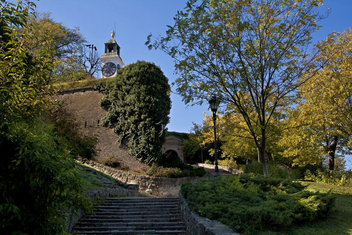 Autumn foliage in Novi Sad - Novi Sad Tourism Organisation