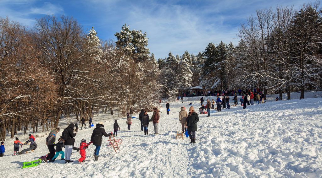 Winter in Novi Sad - Novi Sad Tourism Organisation