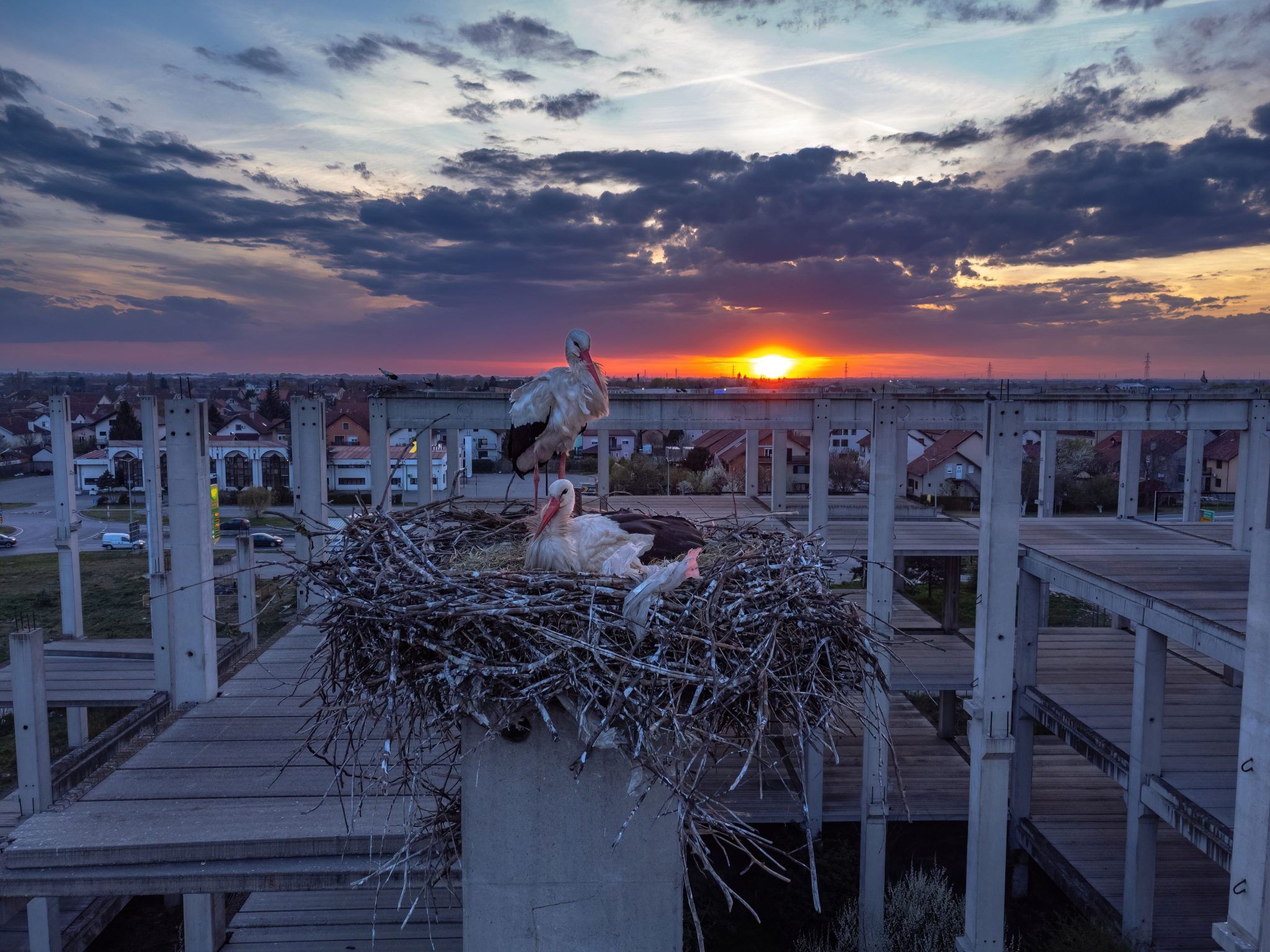 Novi Sad - Turistička organizacija grada Novog Sada
