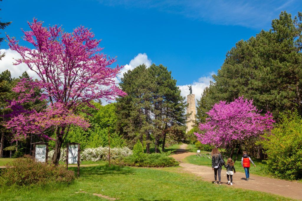 Novi Sad - Turistička organizacija grada Novog Sada